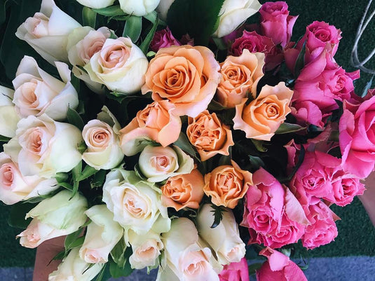 Florist Coffs Harbour | Local Flower Delivery | Wild Pansi – Wild Pansi