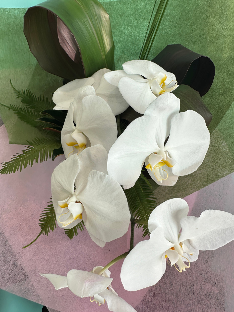 Flower Bouquets Coffs Harbour | Buy Online | Wild Pansi