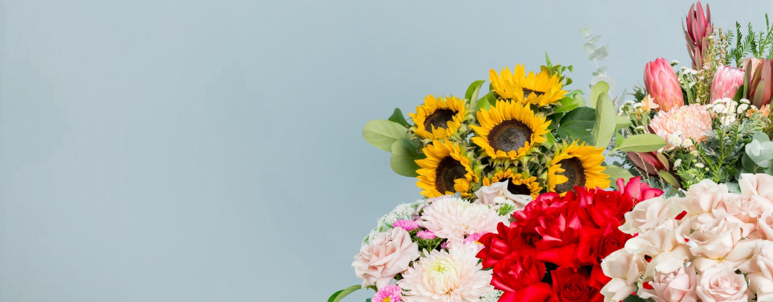 Florist Coffs Harbour | Local Flower Delivery | Wild Pansi