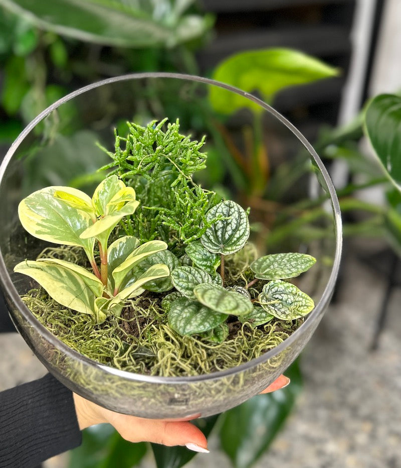 Pastel Flower Bouquets - Wild Pansi - Florist, Coffs Harbour